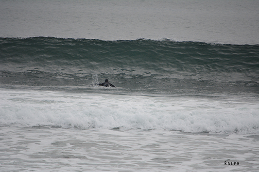 Ralph's Pix of the Week