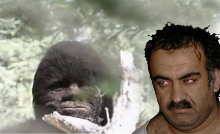 Ralph's Pix of the Week